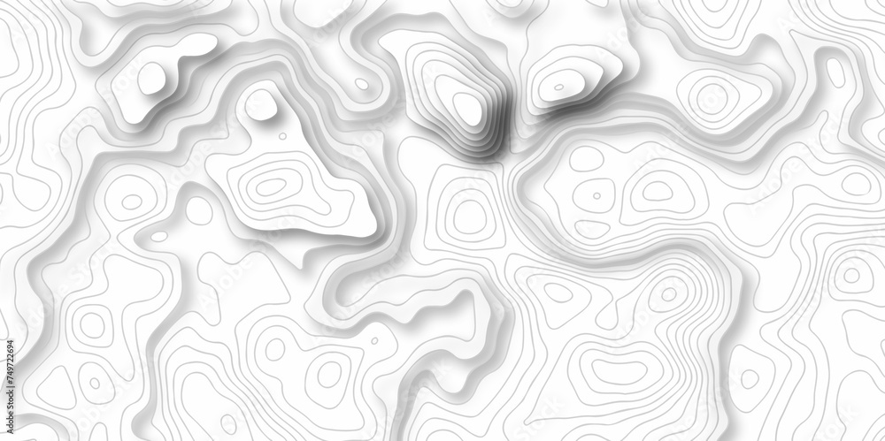 The pattern topo with lines Topographic contour lines vector map ...