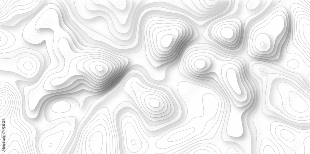 The pattern topo with lines Topographic contour lines vector map ...