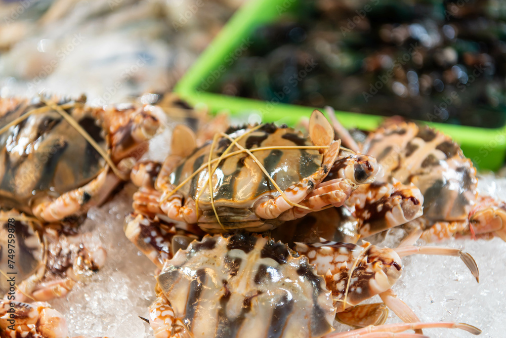 Fresh raw sea flower crab (portunus pelagicus) premium grade display ...