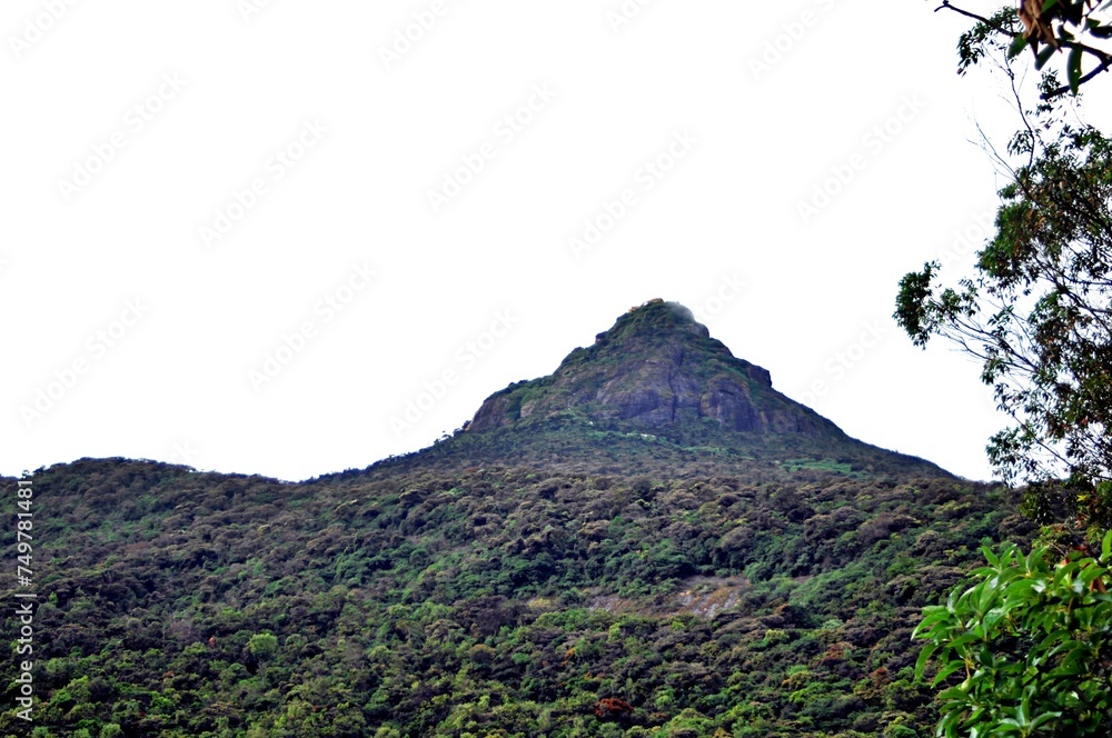 Sri padaya or Adam's peak in Sri Lanka is one of the holiest sites in ...