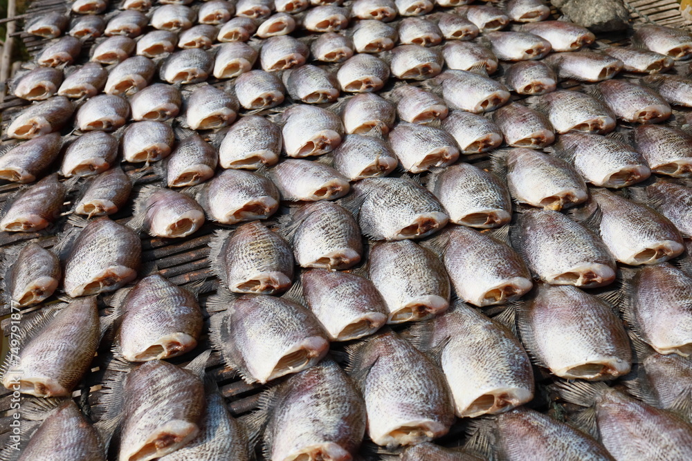 Gourami is a type of freshwater fish. The scientific name is ...