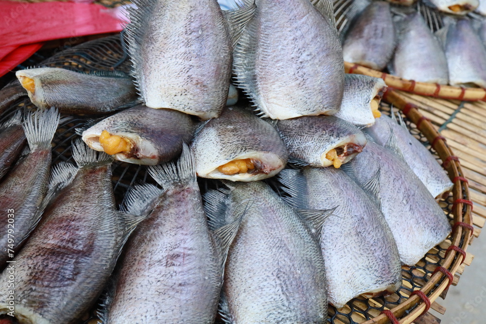 Gourami is a type of freshwater fish. The scientific name is ...