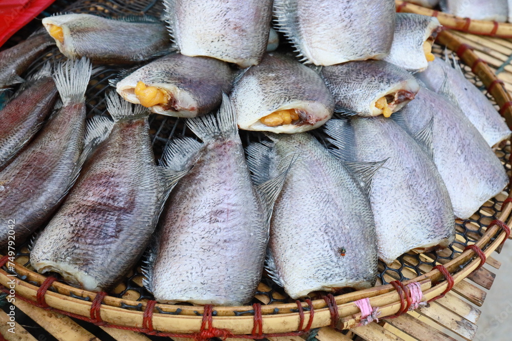 Gourami is a type of freshwater fish. The scientific name is ...