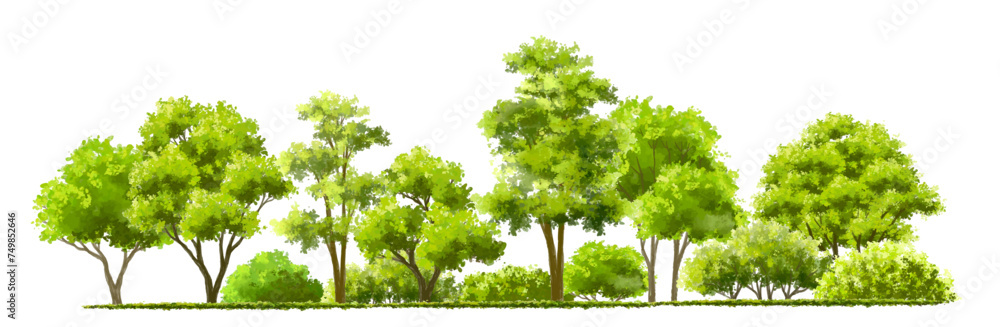 Vertor set of green tree,plants side view for landscape elevations ...