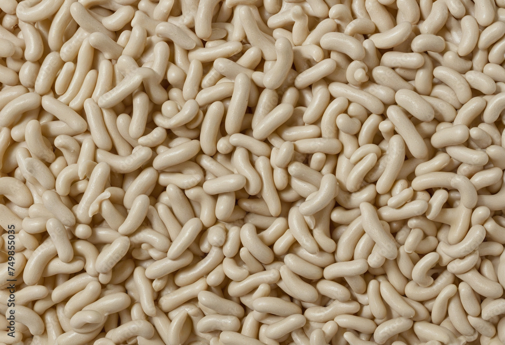 Mycoprotein is an alternative, nutritious protein source with a meat ...