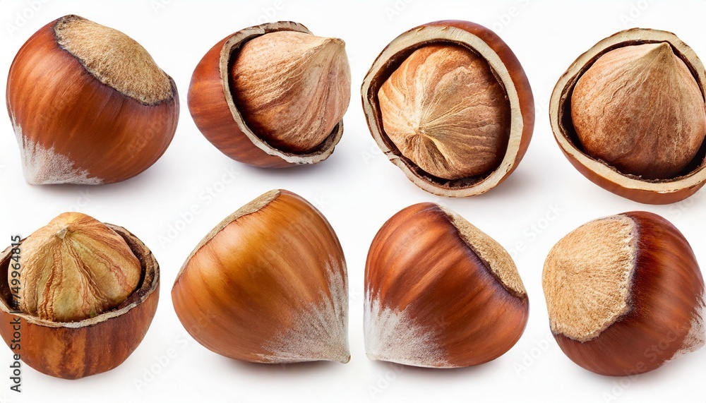 ภาพประกอบสต็อก hazelnut collection hazelnut set isolated on white ...