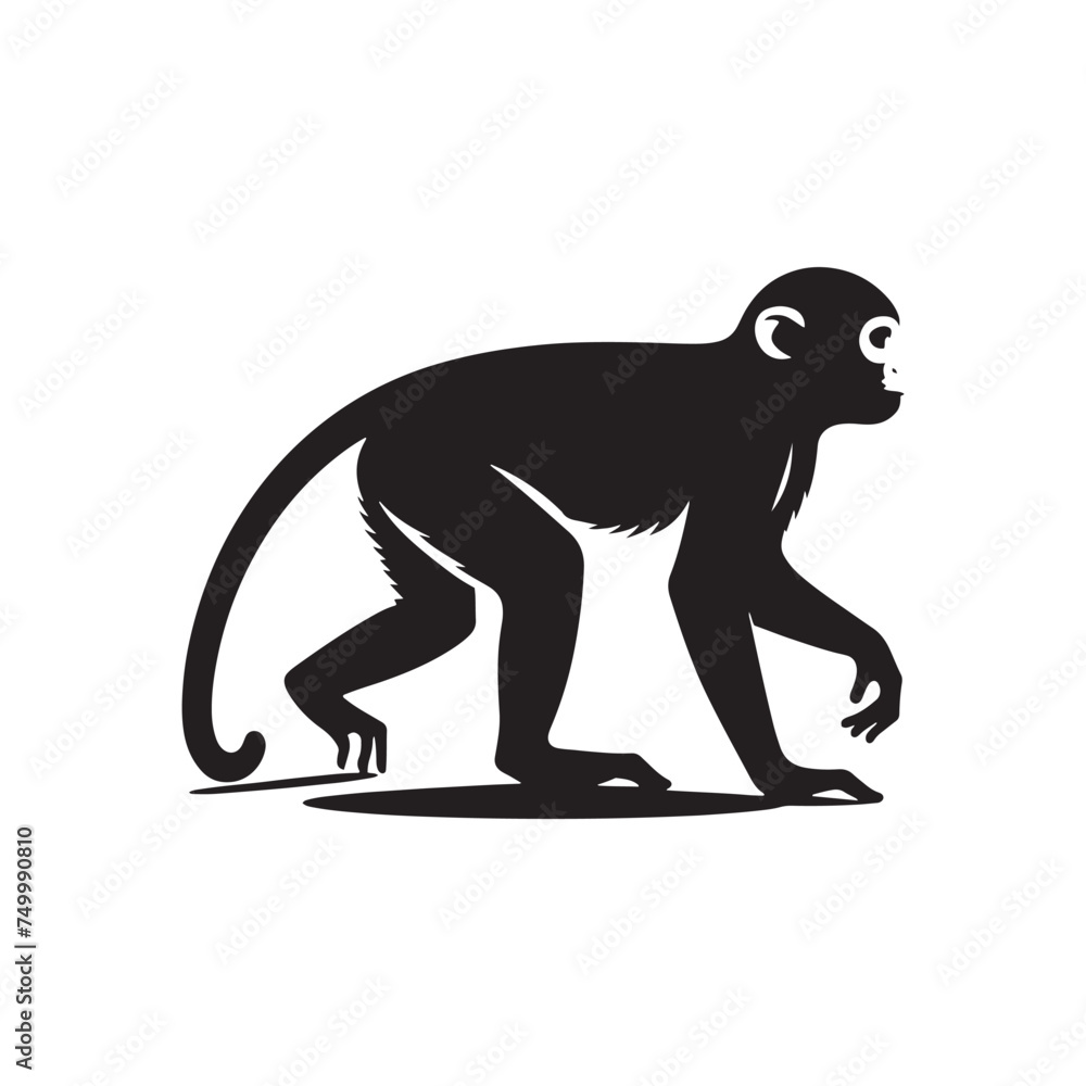 Primal Elegance: Vector Monkey Silhouette - Capturing the Agile and ...