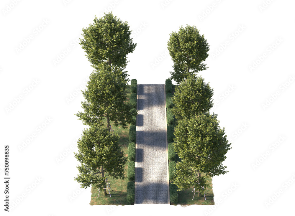 pathway in garden with green hedge and tree with tree support pole ...