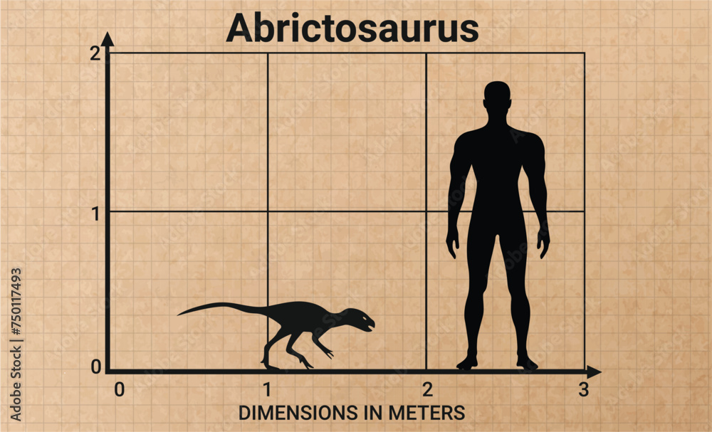 Comparing the size of Abrictosaurus to the average adult human male (1. ...