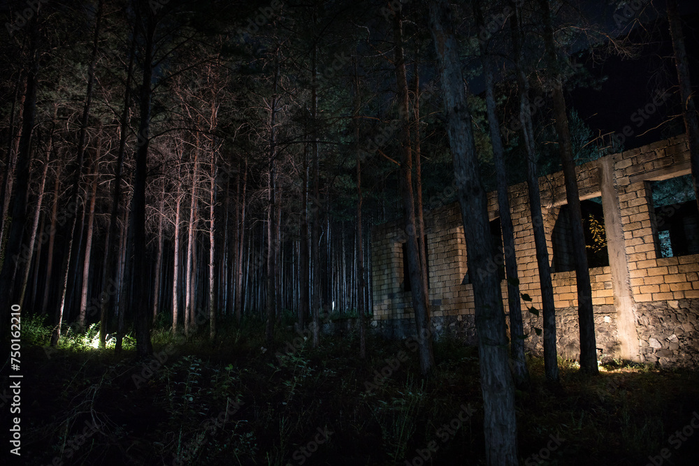 Old abandoned building in forest, Facade ruins of industrial factory ...