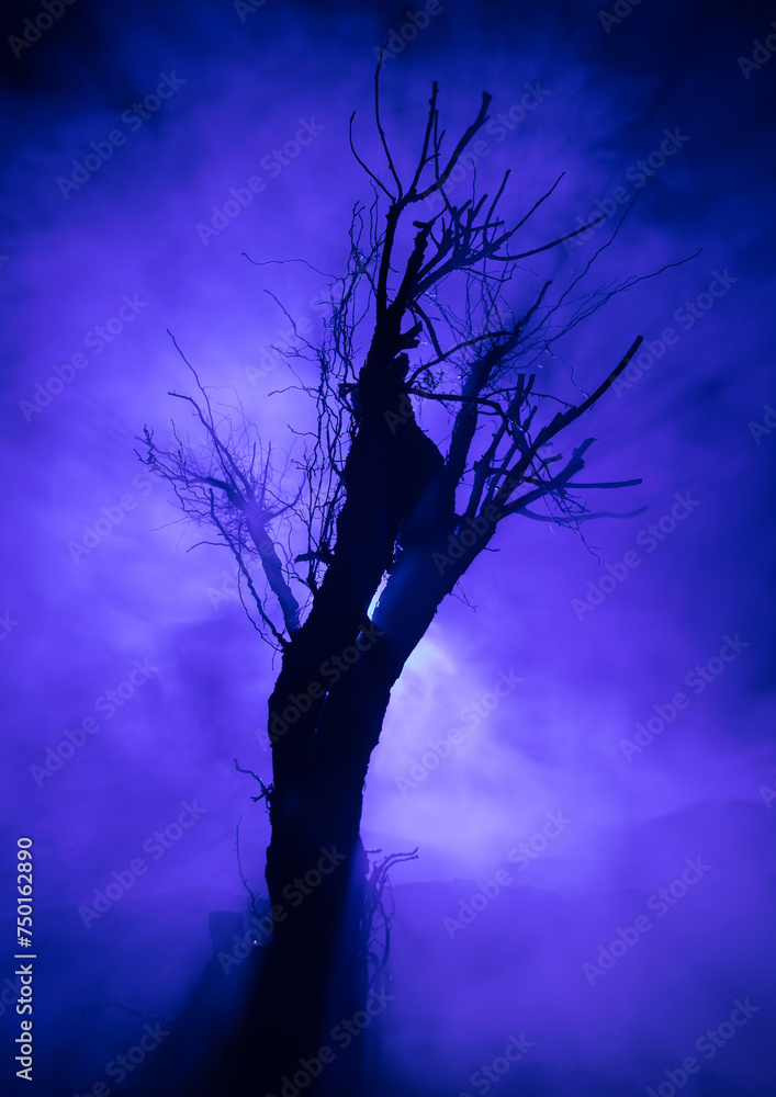 Silhouette of scary Halloween tree with horror face on dark foggy toned ...