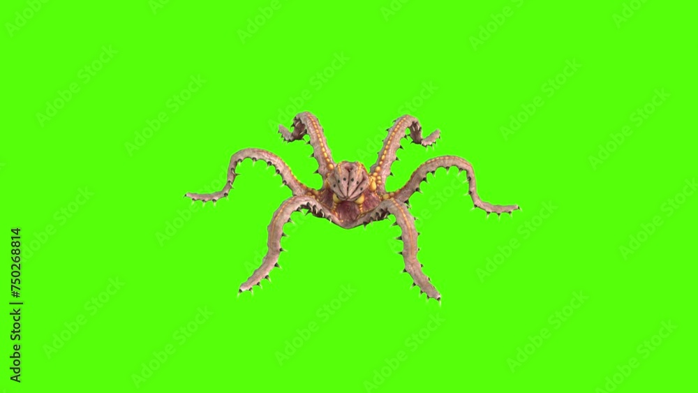 Monster Octopus Idle Green Screen Animation 4k Rendering. vídeo de ...