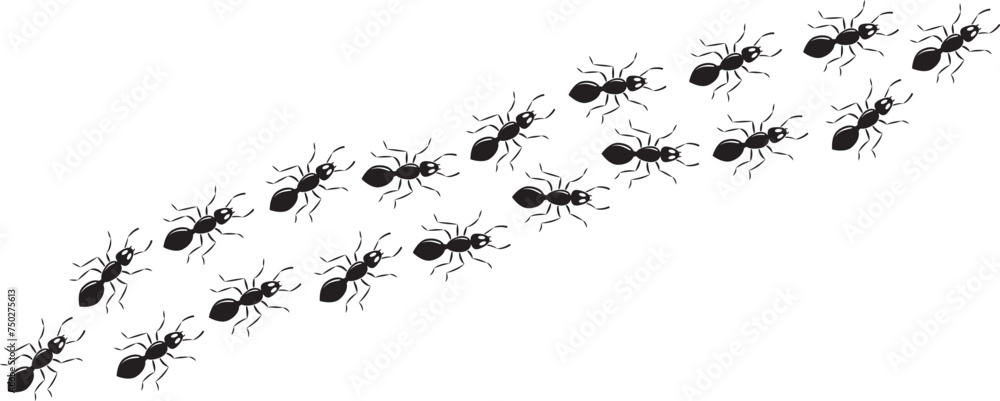 Ant chain, small pest trail, insect marching, animal colony, black ...