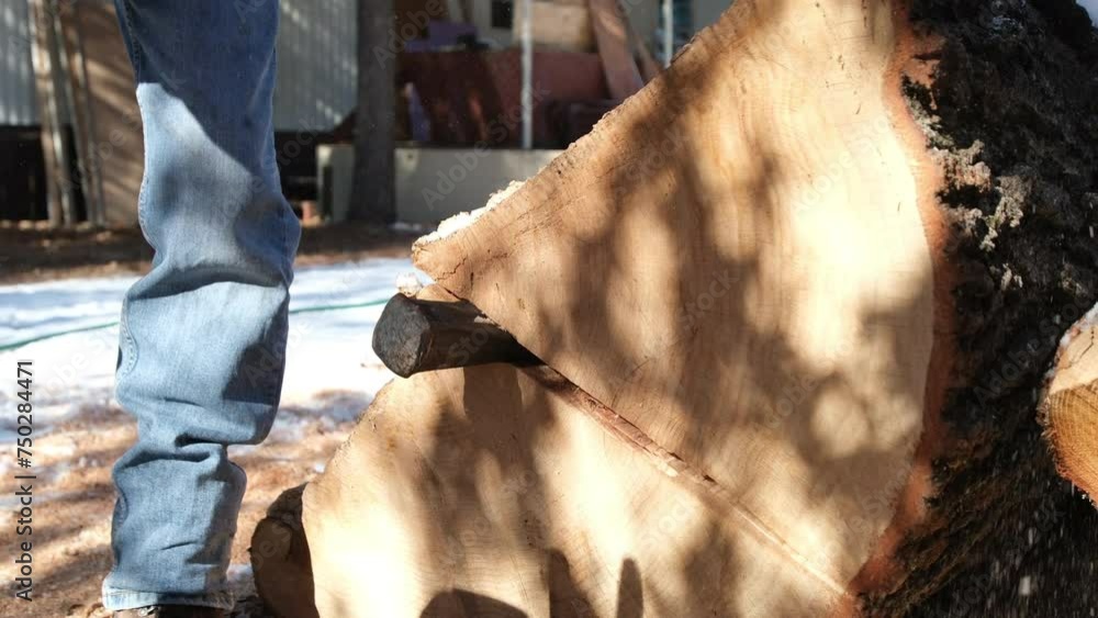 Slow motion while striking iron ledge stuck in oak stump or log gap ...
