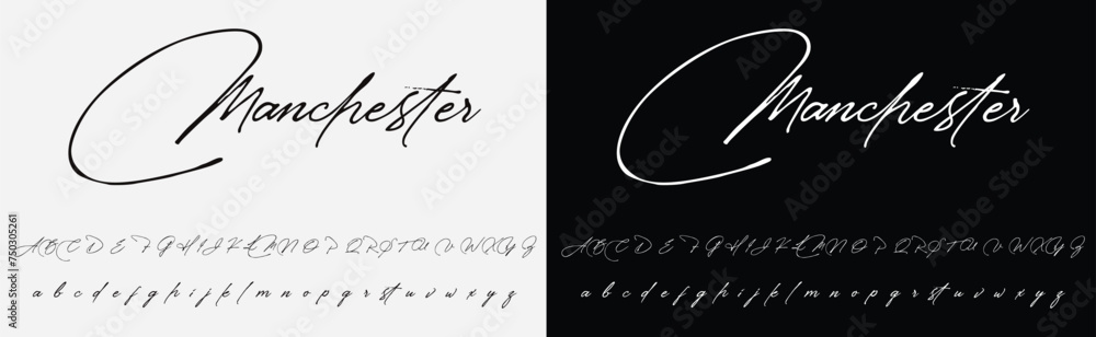 Hand drawn calligraphic vector monoline font. Distress signature ...