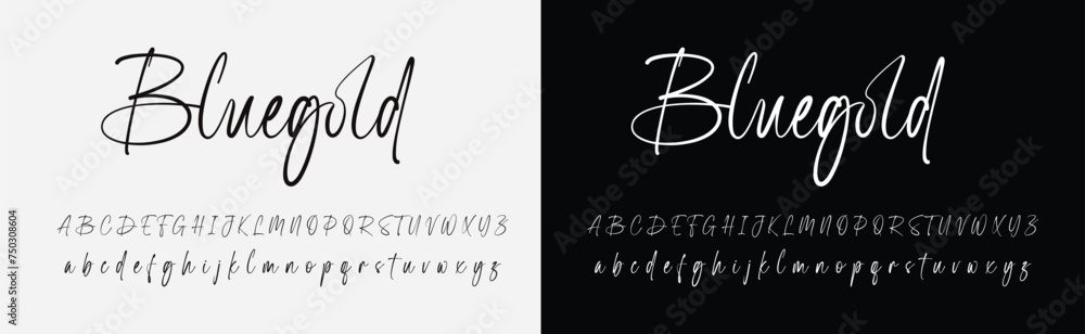 Hand drawn mono line font lowercase and uppercase. Calligraphy ...