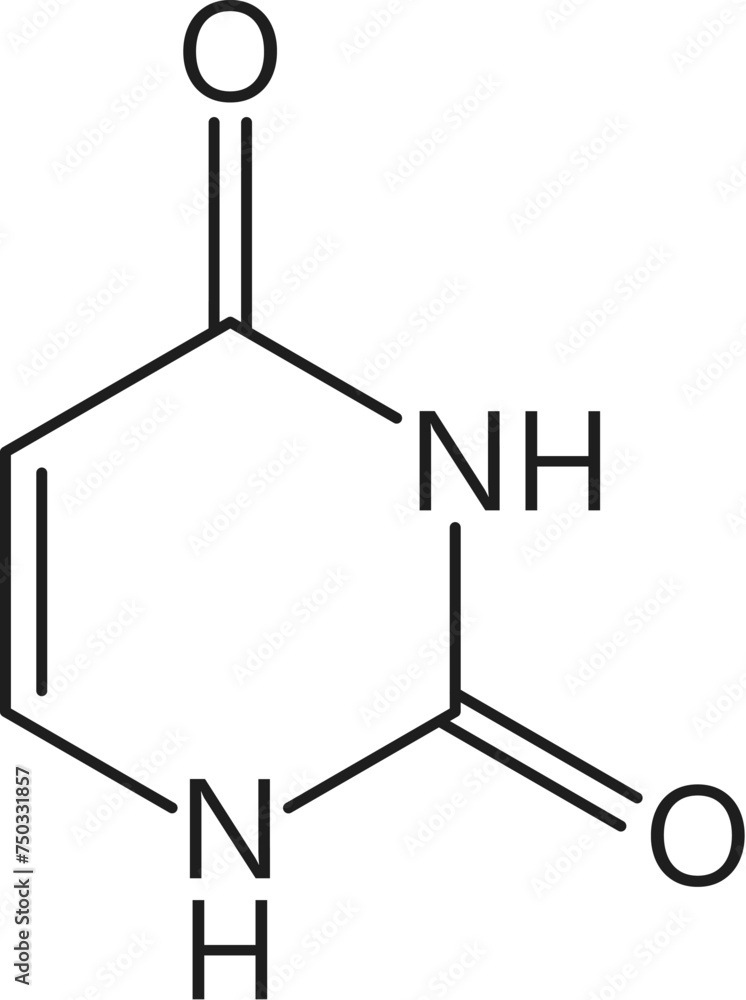 Uracil nucleic acid, nitrogenous base, nitrogen and hydrogen formula ...