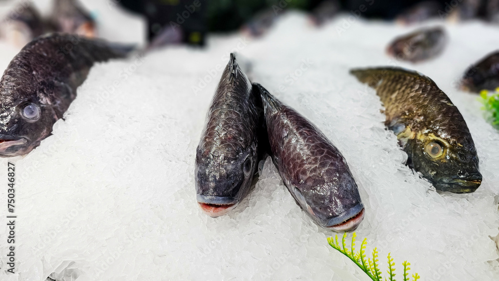 Fresh Tilapia fish on ice sold in supermarkets. (Nile tilapia), Fish ...