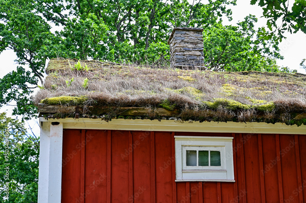 typical, traditional red Swedish house, wooden house with a mossy roof ...