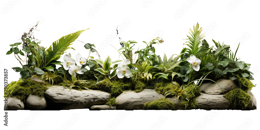 mound of moss with tall tropical foliage chic minimalistic floral ...
