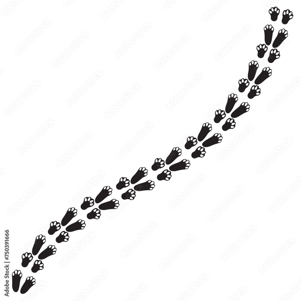 Bunny wet, mud or snow pawprints. Rabbit paw stamps. Trace of steps of ...