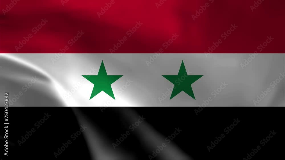 Syria flag waving animation, perfect looping, 4K video background ...