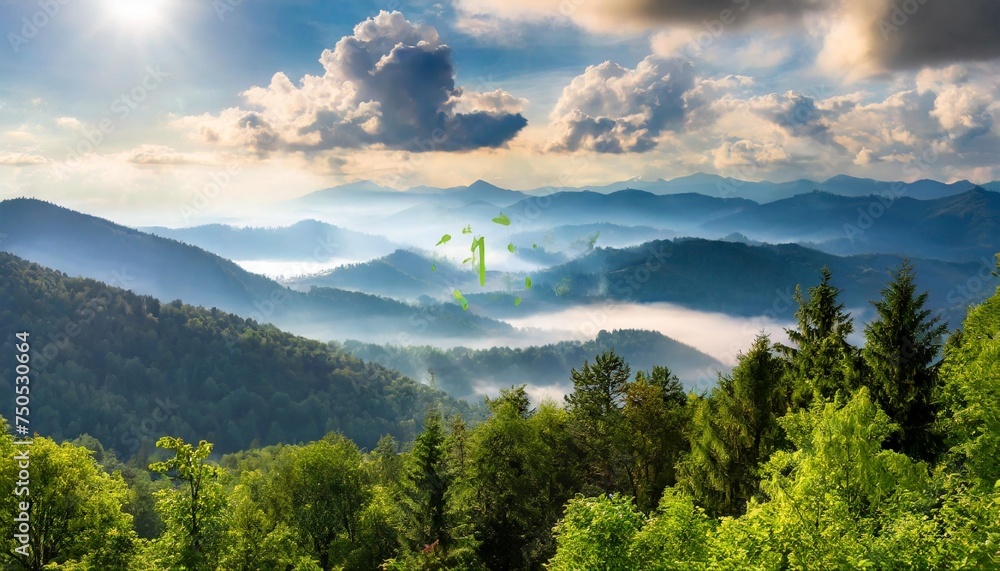 carbon dioxide absorption and oxygen release concept many trees at the ...