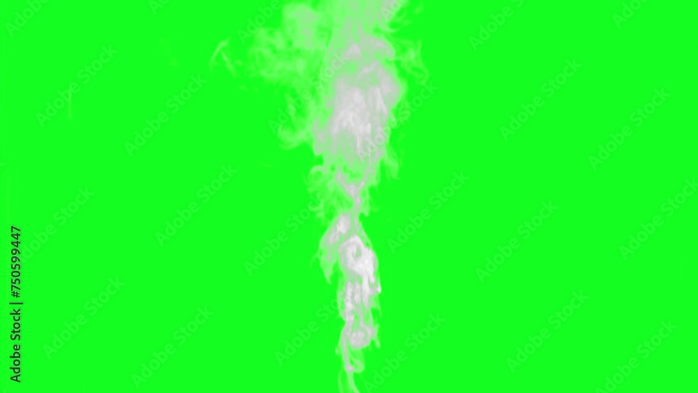 Vidéo Stock White smoke caused by burning or catching fire of a place ...