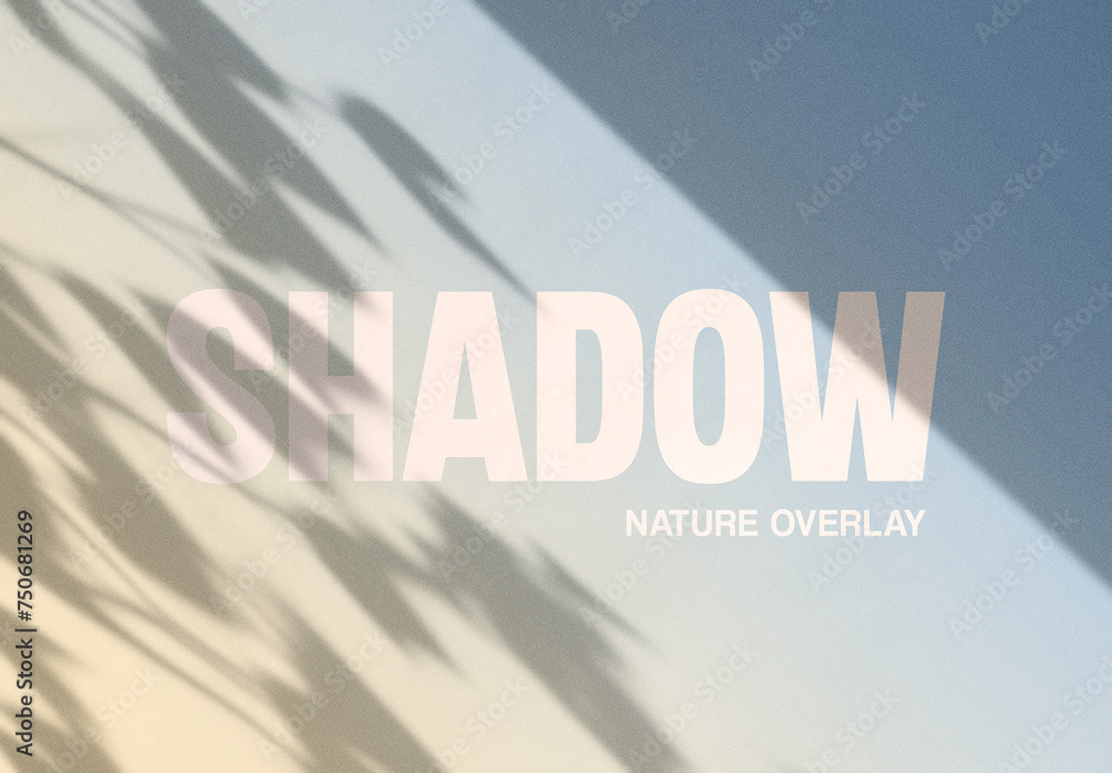 Highlight Shadow Overlay Texture Stock Template | Adobe Stock
