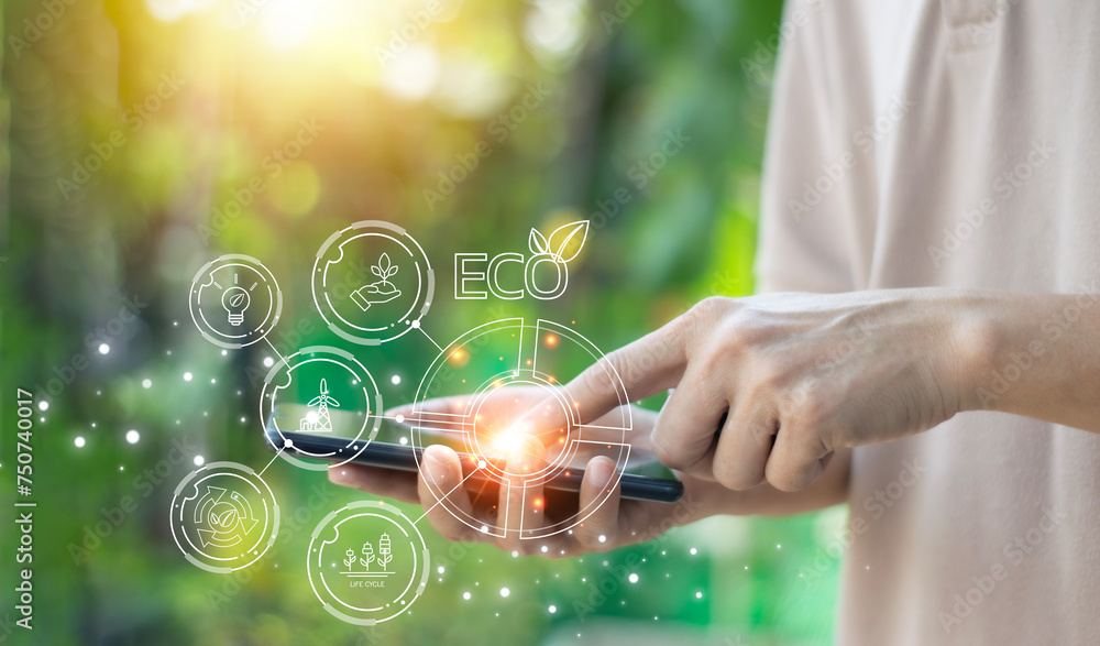 Sustainable development and business operations based on renewable ...