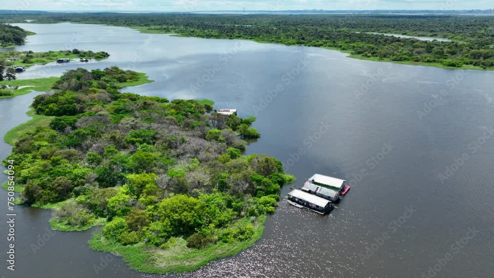 Amazon Forest At Manaus Amazonas Brazil. Country Ranch Landscapes ...