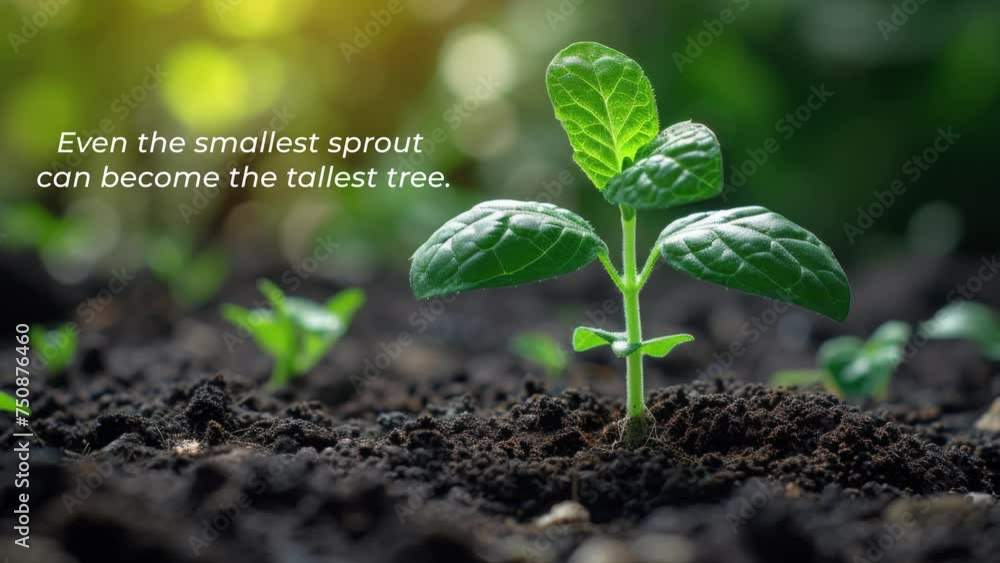A young plant sprouting from rich soil with 'Even the Smallest Sprout ...