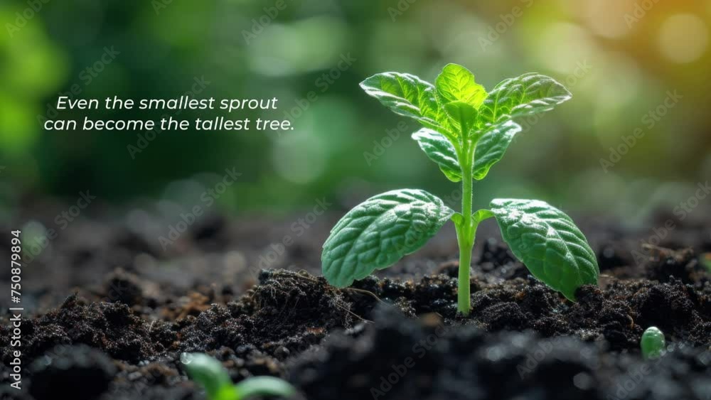 A young plant sprouting from rich soil with 'Even the Smallest Sprout ...
