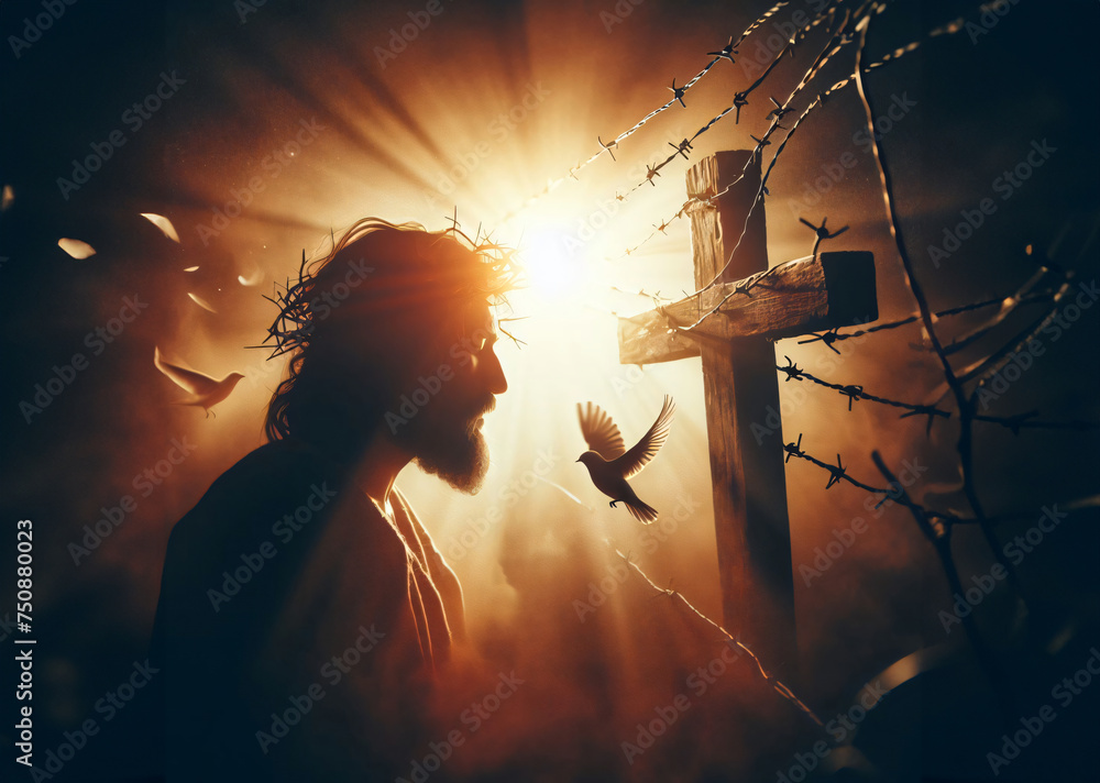 backlight of Jesus Christ with flying birds, a cross and barbed wire ...
