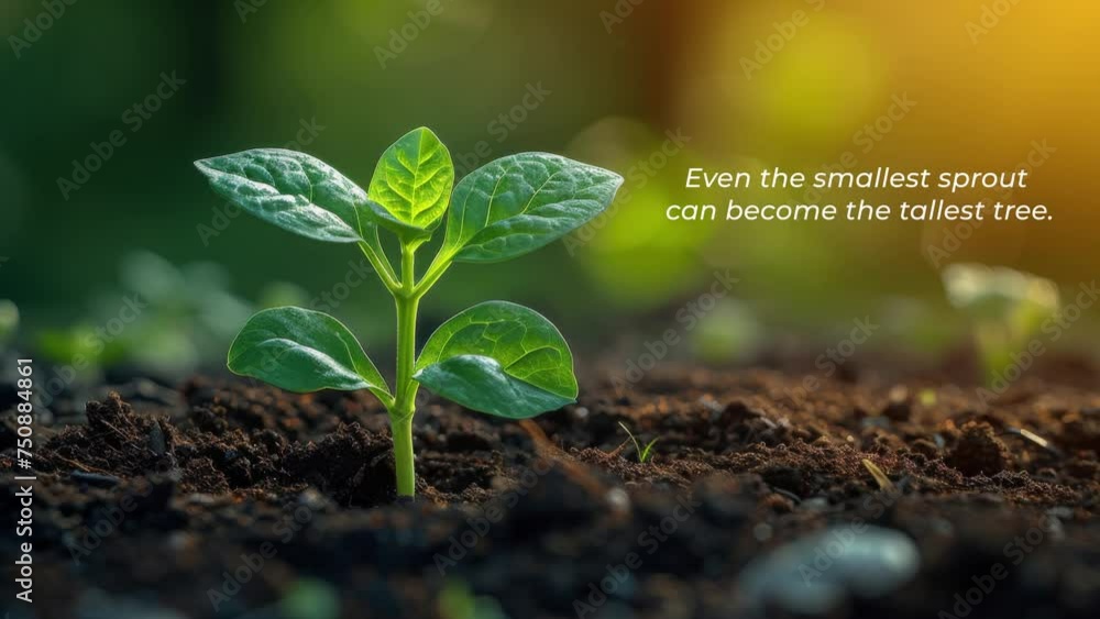 A young plant sprouting from rich soil with 'Even the Smallest Sprout ...