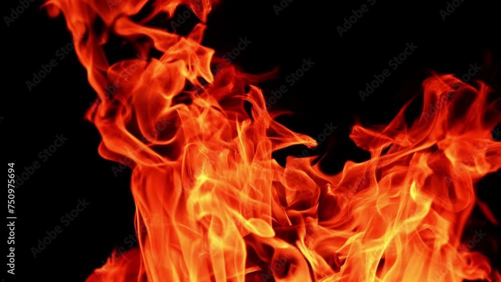 Fire flames licking the darkness. Hot dangerous campfire burning ...