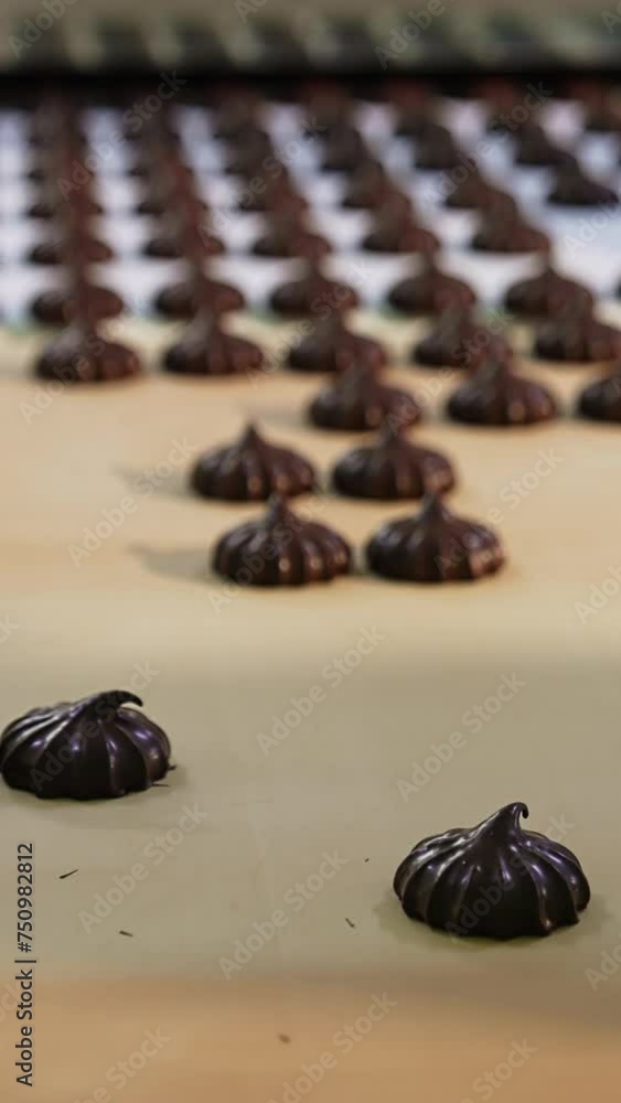Packing the freshly-made marshmallow sweets. Hands of confectionery ...