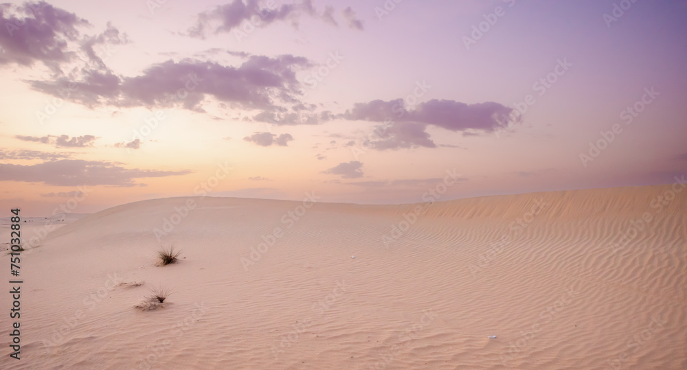desert landscape with dunes for banner background postcard screensaver ...