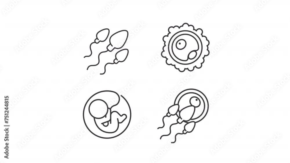 Pregnancy animation set. Insemination animated line icons. Childbirth ...