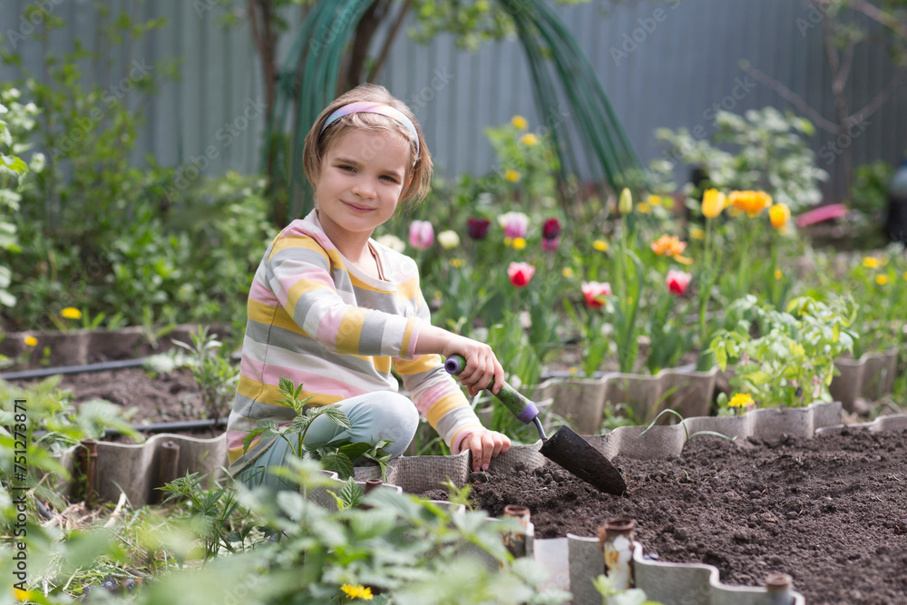 child daughter planting seedling In ground on allotment in garden. Kid helps in the home garden ...