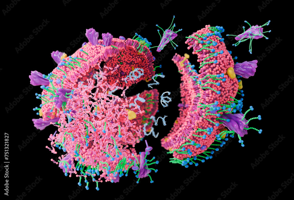 Soap molecules destroying a virus, conceptual illustration. Soap ...