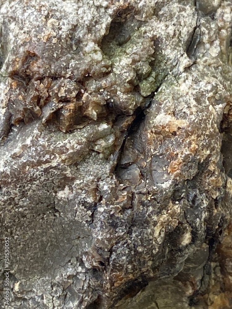 Ambergris whale vomit used in perfume making it is made by sperm whale ...