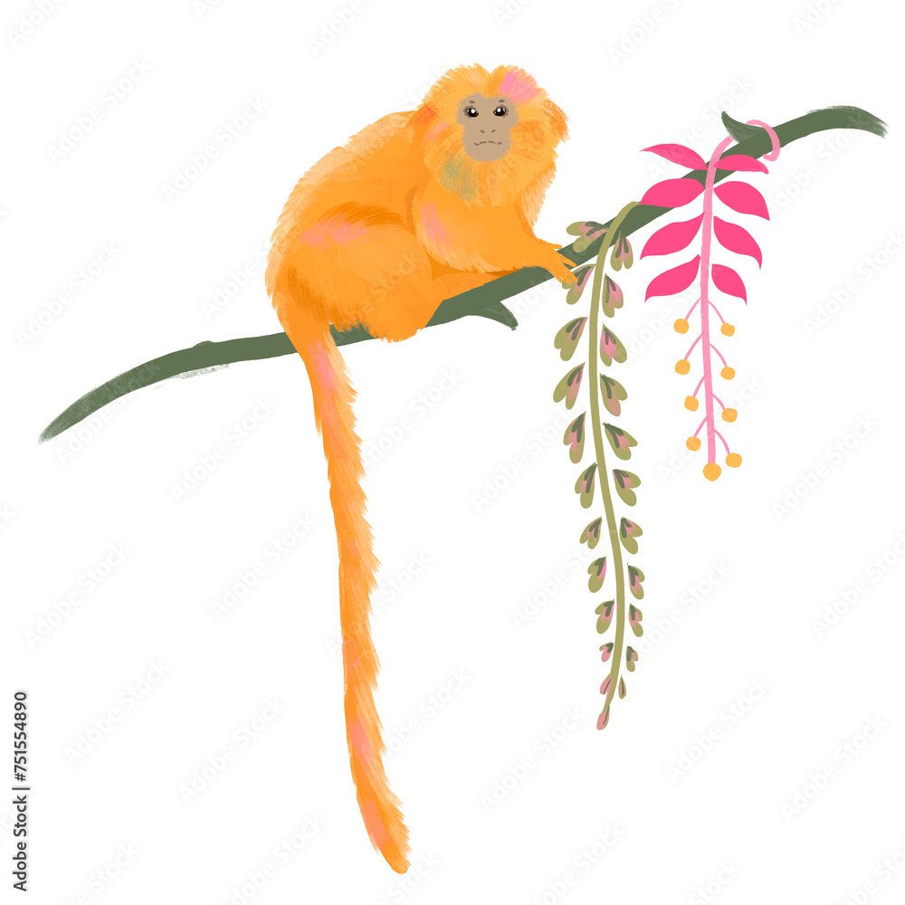 Macaco, Mico, ilustração, amazônia, brasilidade, estampa, rótulo ...