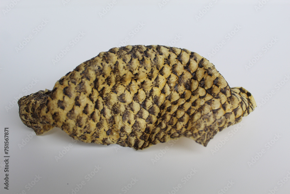 One big piece of crispy fish skin chips or skin fish crackers, Isolated ...