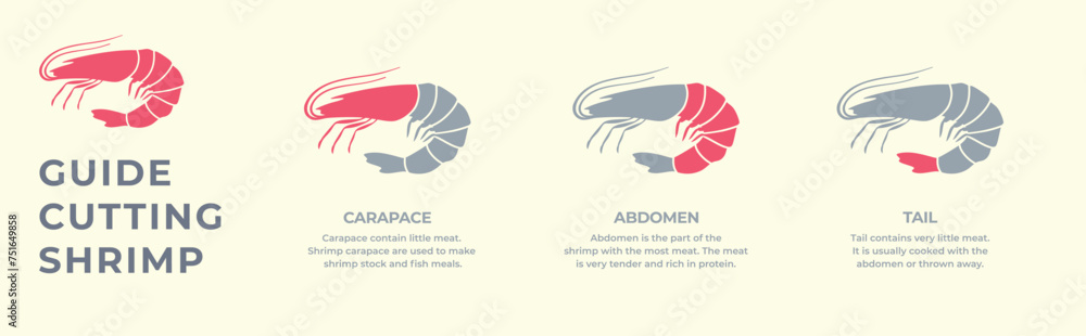 Seafood. Сrustaceans. Cutting guide meat shrimp, prawn carcass. Diagram ...