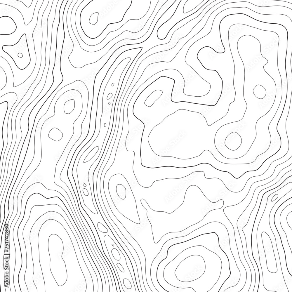 Topographic pattern texture. Black contours on white vector topography ...
