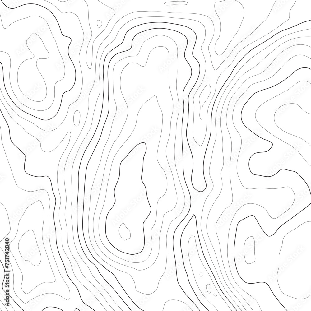 Topographic pattern texture. Black contours on white vector topography ...