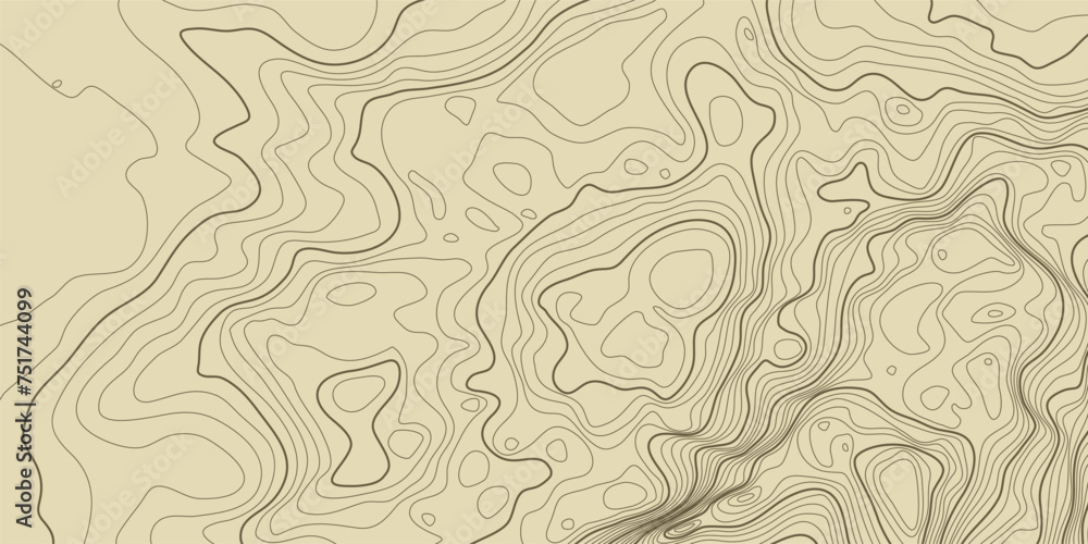 Topographic pattern texture. Brown contours on beige background. vector ...