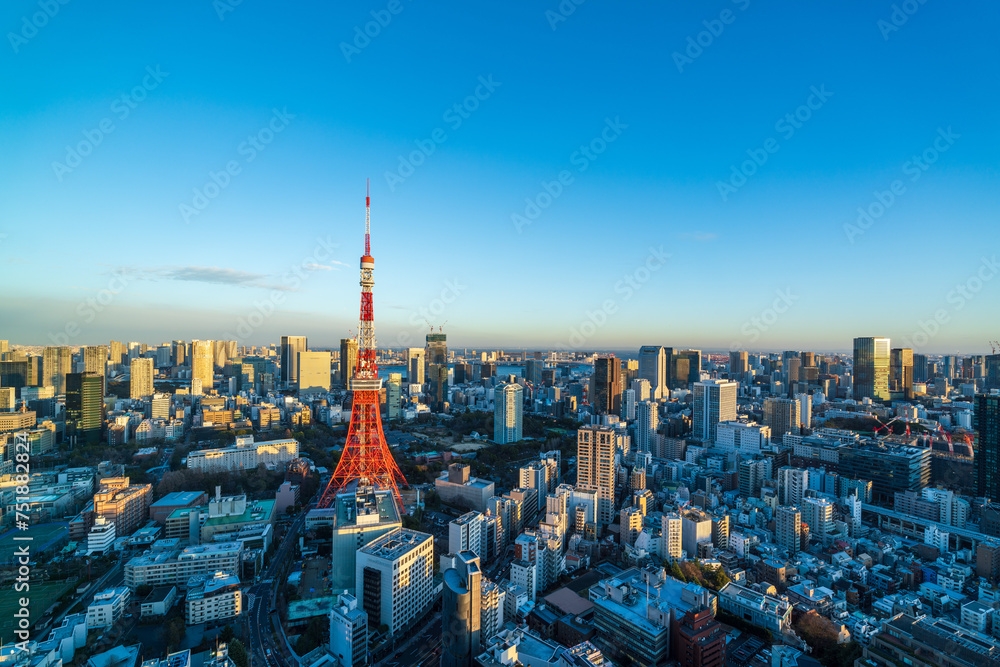 Tokyo, Japan - February 24 2024: Panoramic view of Tokyo tower and Tokyo central area city view ...