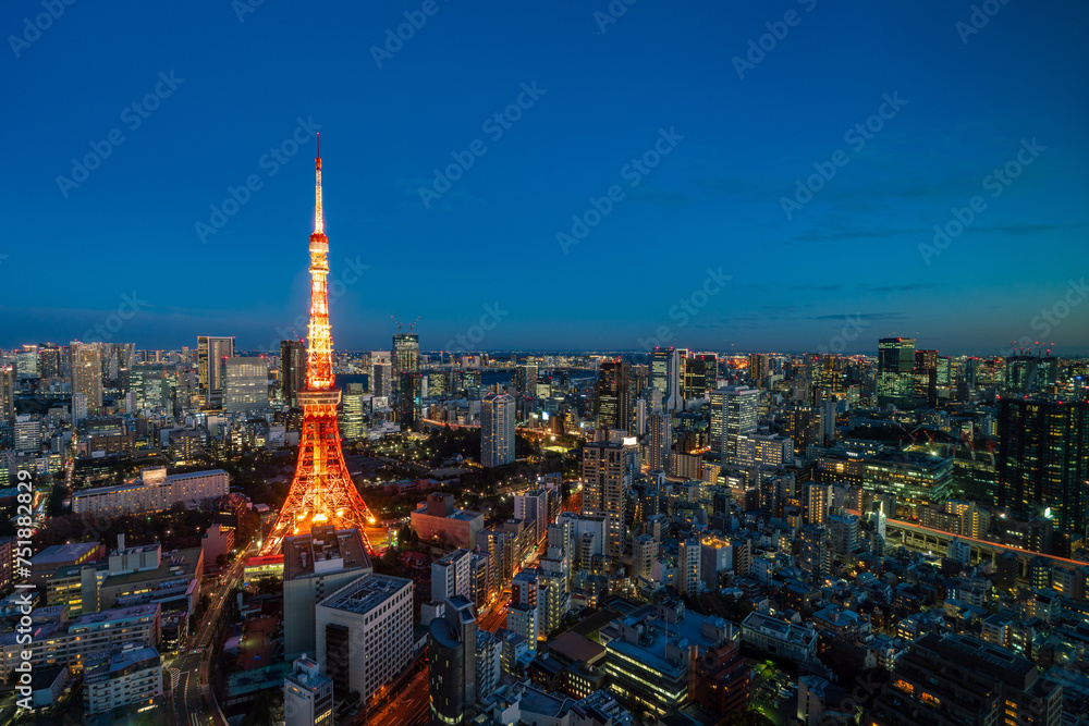 Tokyo, Japan - February 24 2024: Panoramic view of Tokyo tower and ...